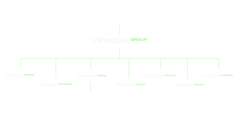 Quienes Somos | Viroque Energy